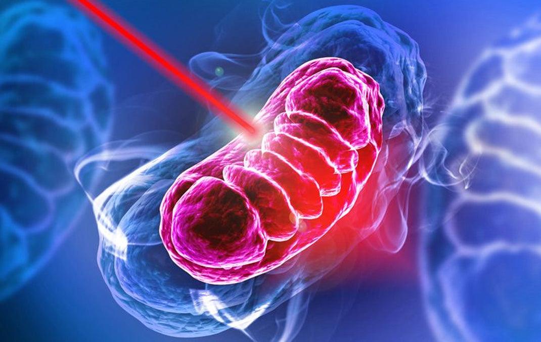 Laser Therapy and Healing – Plite Therapeutics